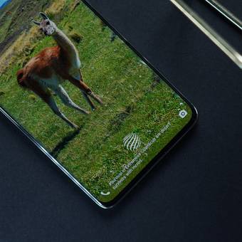 vivo V40e - Full Specifications & Price in India (23rd March 2025 ...