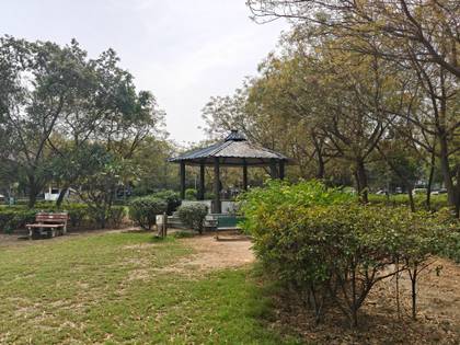 OnePlus Nord 6 vs vivo X200T : Specs Comparison, Price Difference ...