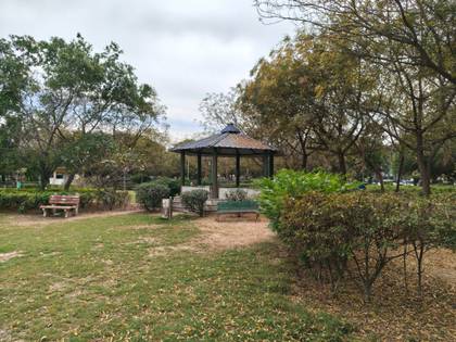 OPPO Reno14 vs Nothing Phone 4a Pro : Specs Comparison, Price ...