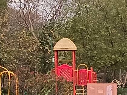 realme P4 vs OPPO K14 5G : Specs Comparison, Price Difference ...